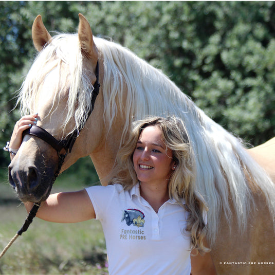 HORSES – Fantastic PRE Horses