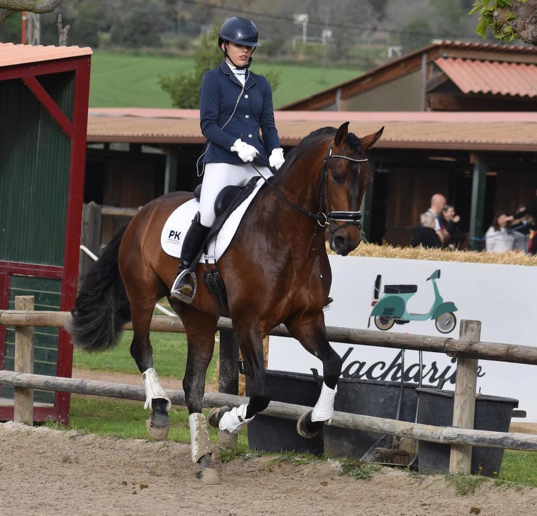 Mares – Fantastic PRE Horses